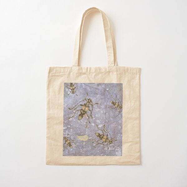 Bug, Bugs, Insect, Insects, Beetle, Beetles, Nature, Wildlife, Creature ...