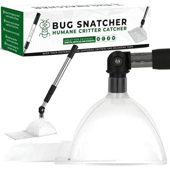 Bug Catcher Container & Extendable Stainless Steel Stick | See-Through ...
