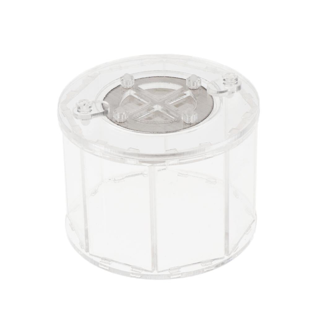 Bug Container for , Bug Catcher Cage Toy for Grasshopper, or - Walmart.com