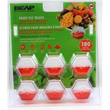 Fly Traps Indoors
