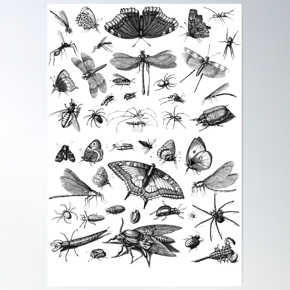 Bug Life Poster Wall Art, Modern Wall Decor For Living Room Bedroom ...