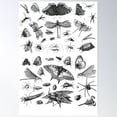 Bug Life Poster Wall Art Modern Wall Decor For Living Room Bedroom ...