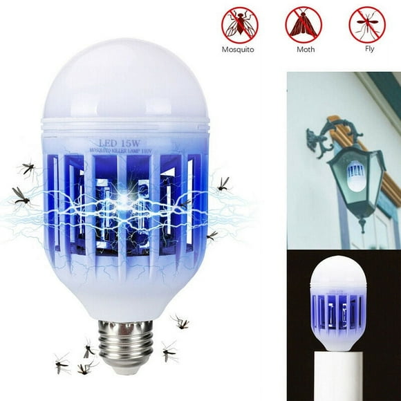 Bug Lights