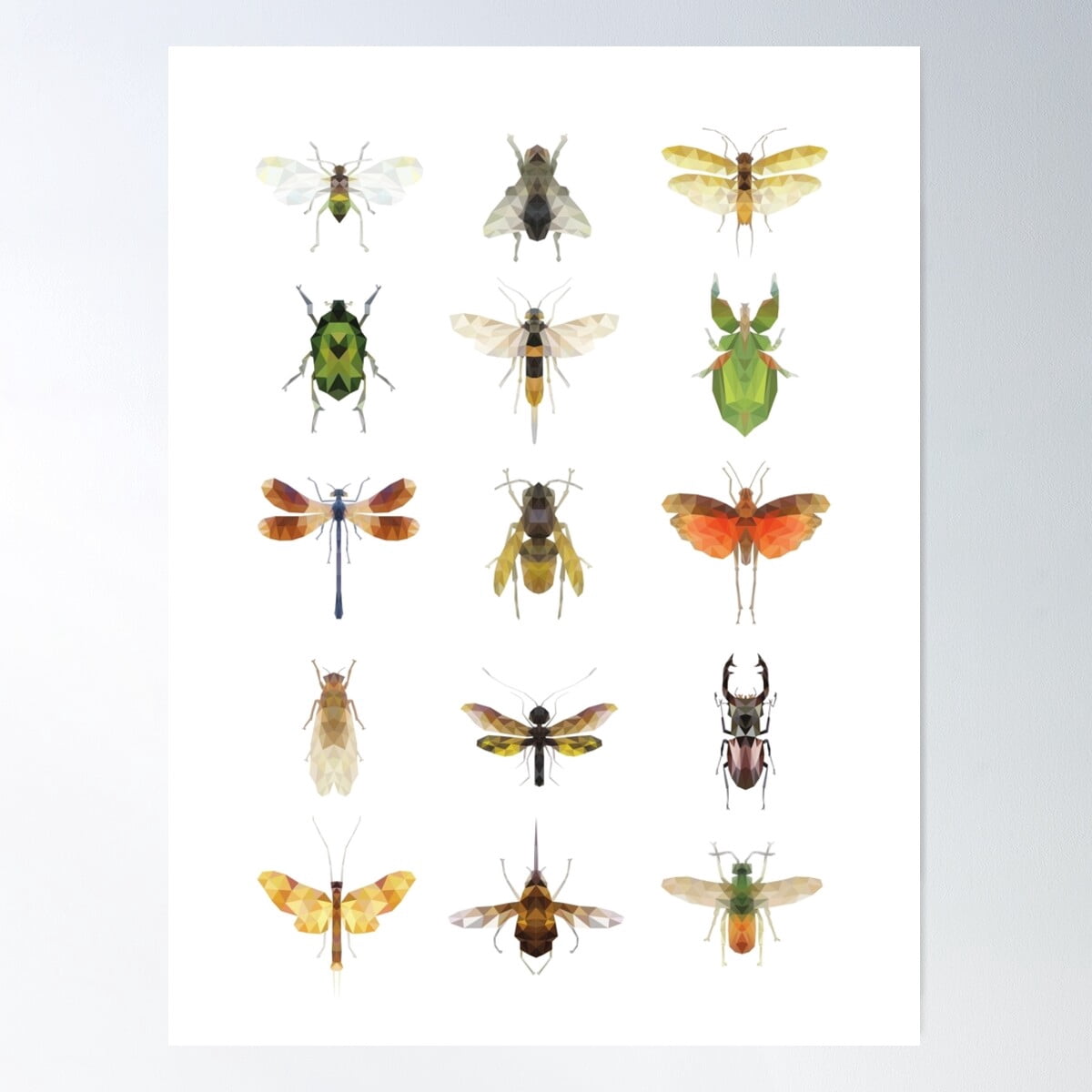 Bugs Beetles Flies Illustration Design Art Poster Wall Art, Modern Wall ...