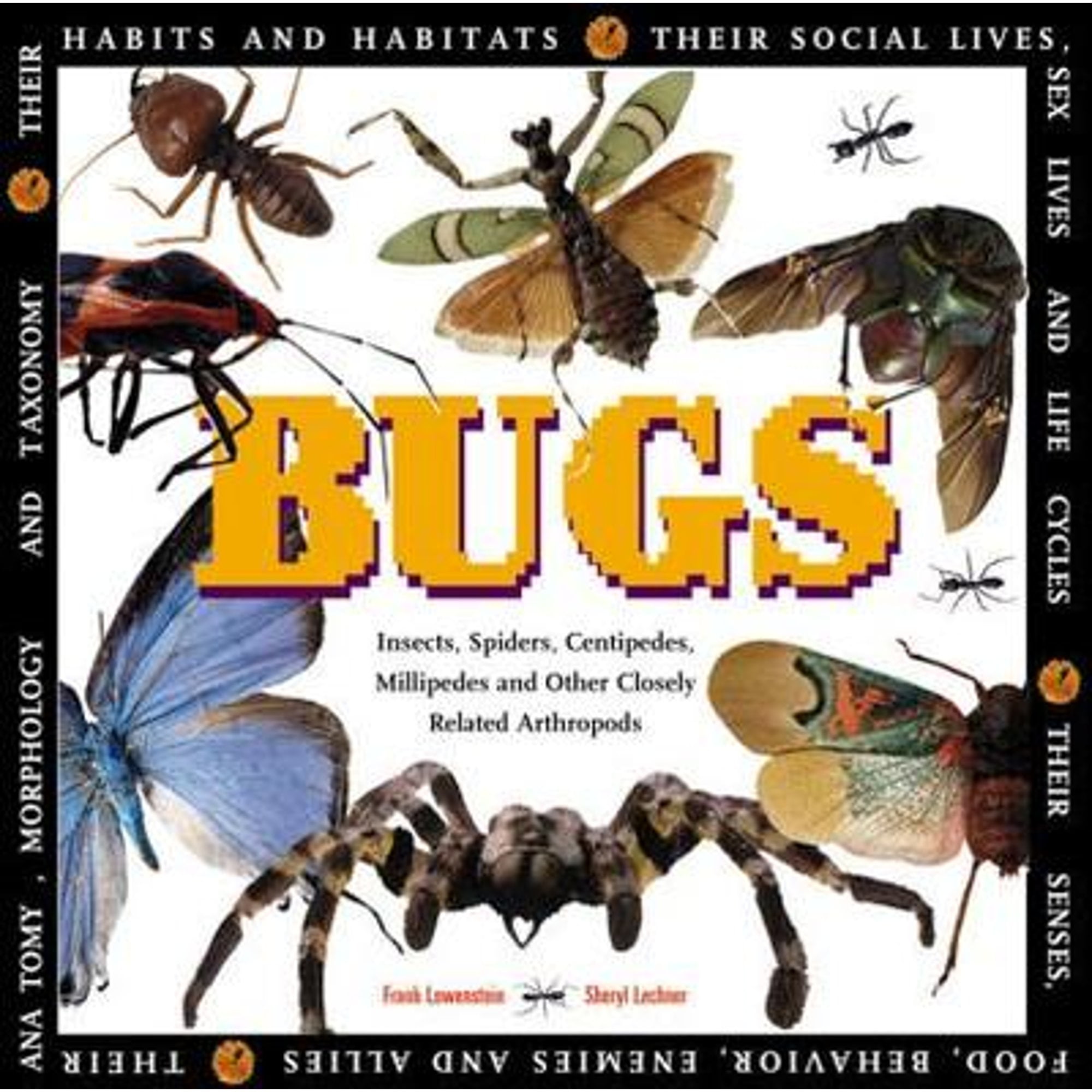 Pre-Owned Bugs: Insects, Spiders, Centipedes, Millipedes, and Other ...