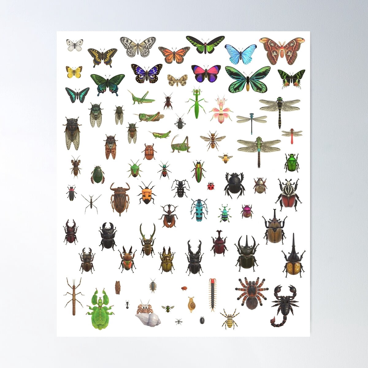 Bugs N’ Stuff Critterpedia Complete Taxonomy Poster Wall Art, Modern ...