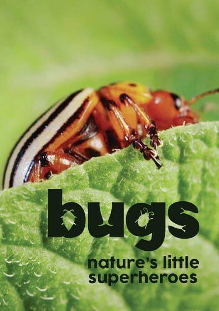 Bugs: Nature's Little Superheroes (DVD), Syndicado, Documentary ...