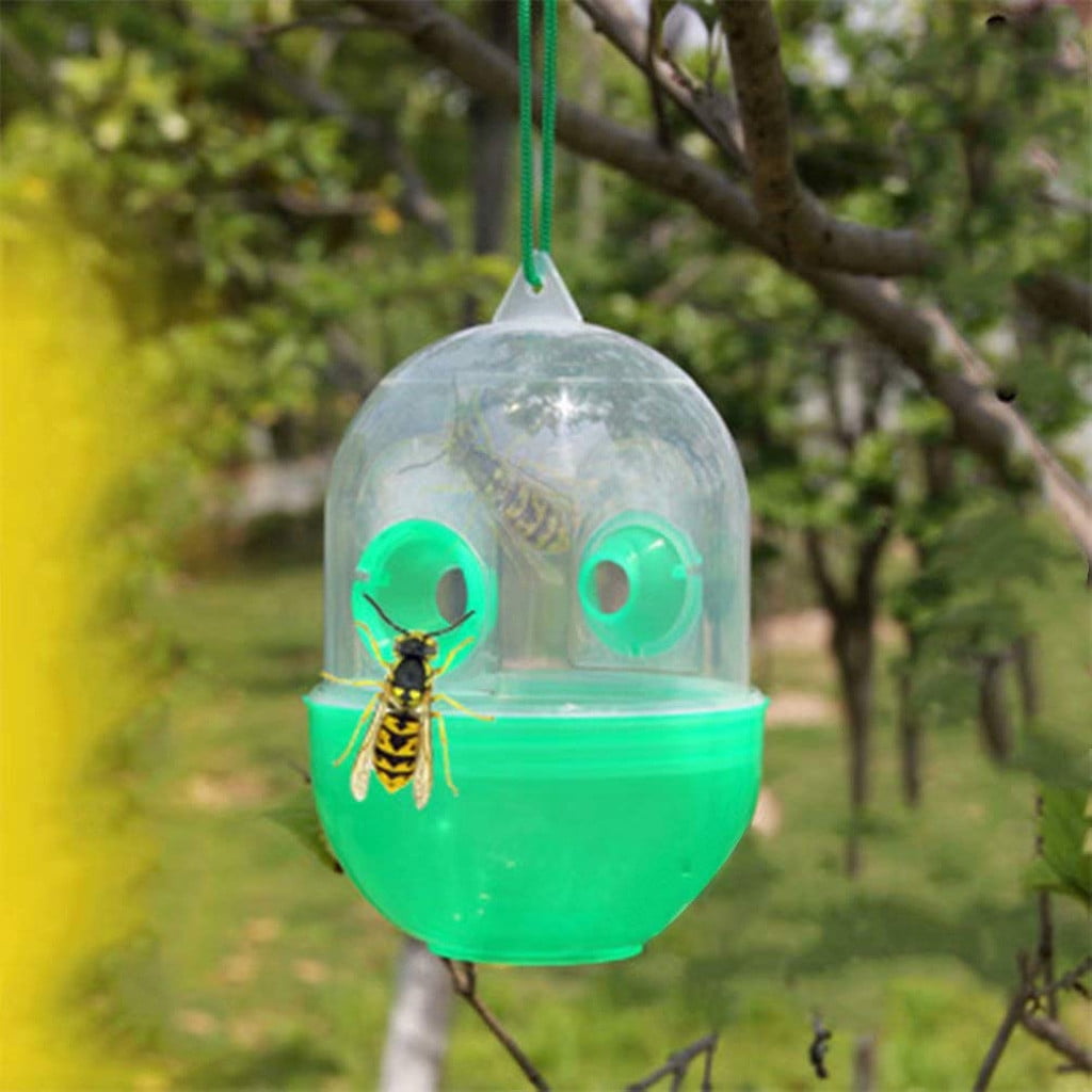Bugs Trap Insect Bee Trapper Keeping Tools Pest Control Garden Supplies ...