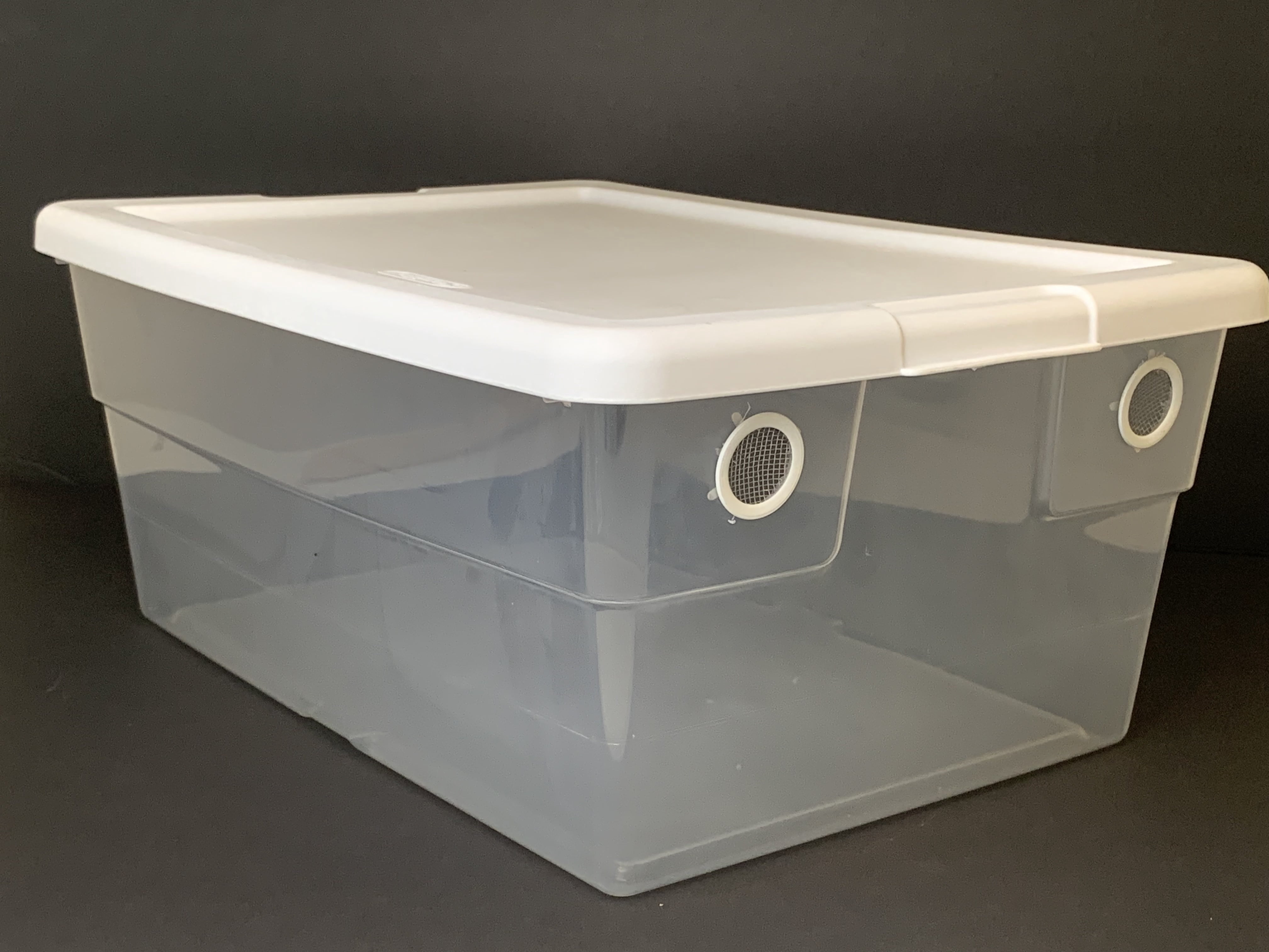 BugzyBugs 16-Quart Vented Plastic Terrarium for Isopods, Reptiles, and ...