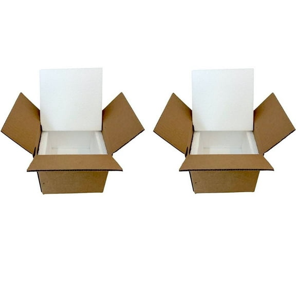 Foam Insulated Shipping Boxes