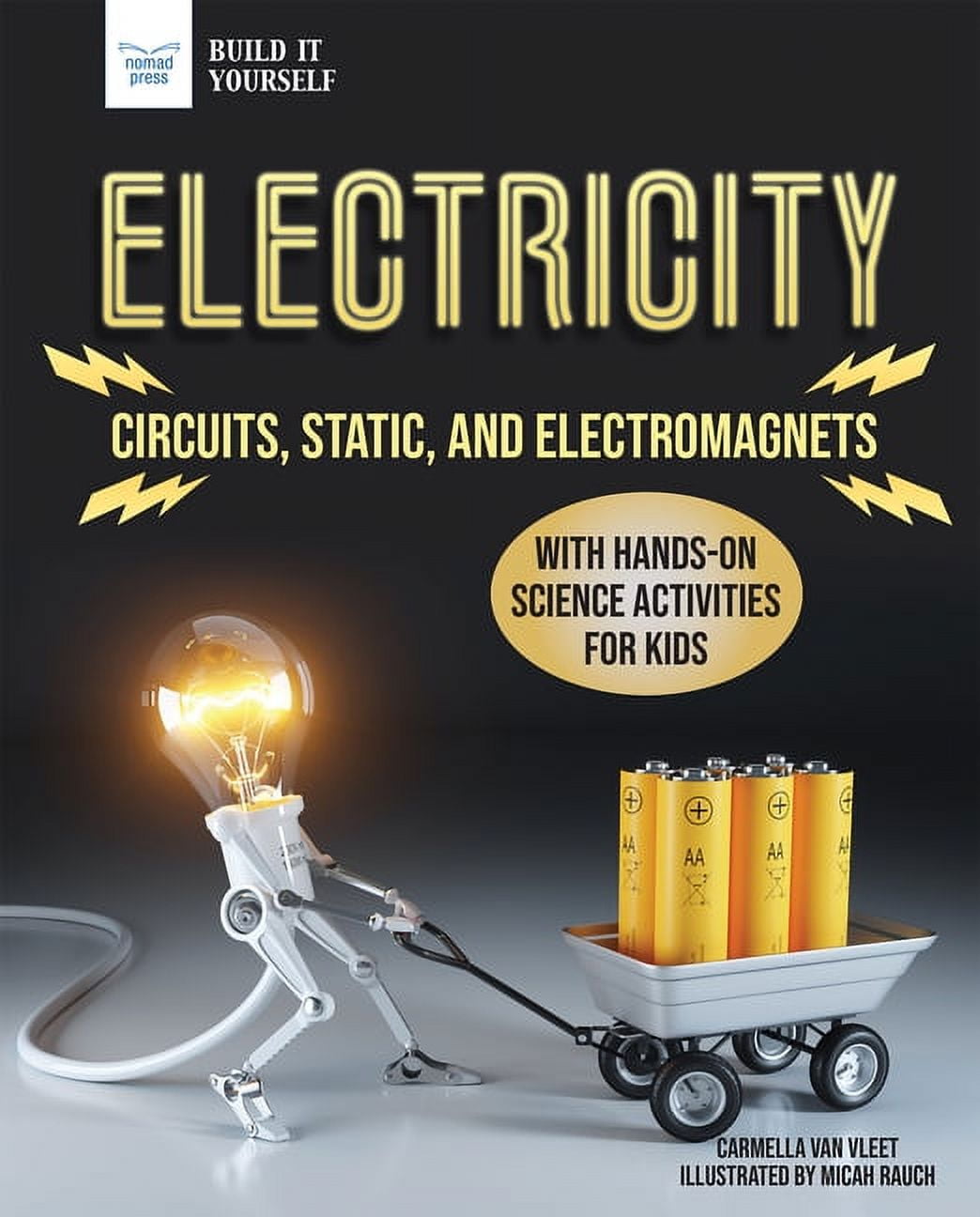Build It Yourself Electricity: Circuits, Static, and Electromagnets ...