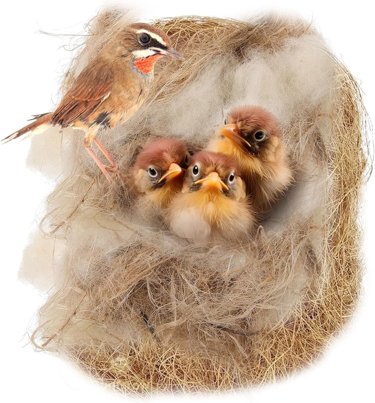 Building Mat Pigeon Natural Mixing Bird Nesting Material Cushion Cage ...