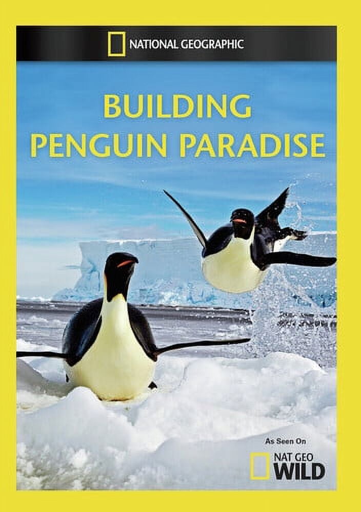 Building Penguin Paradise (DVD), National Geographic, Documentary ...