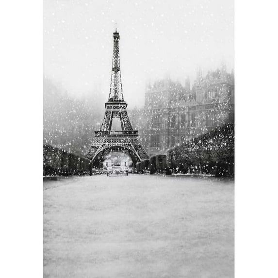 Building Photography Backdrops Eiffel Tower Snowflake Gray Background ...