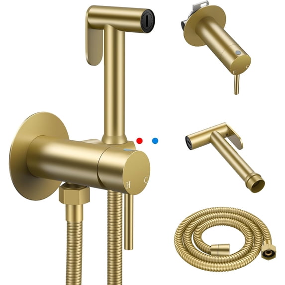 Built-in Hot and Cold Handheld Bidet Sprayer for Toilet, Warm Water ...