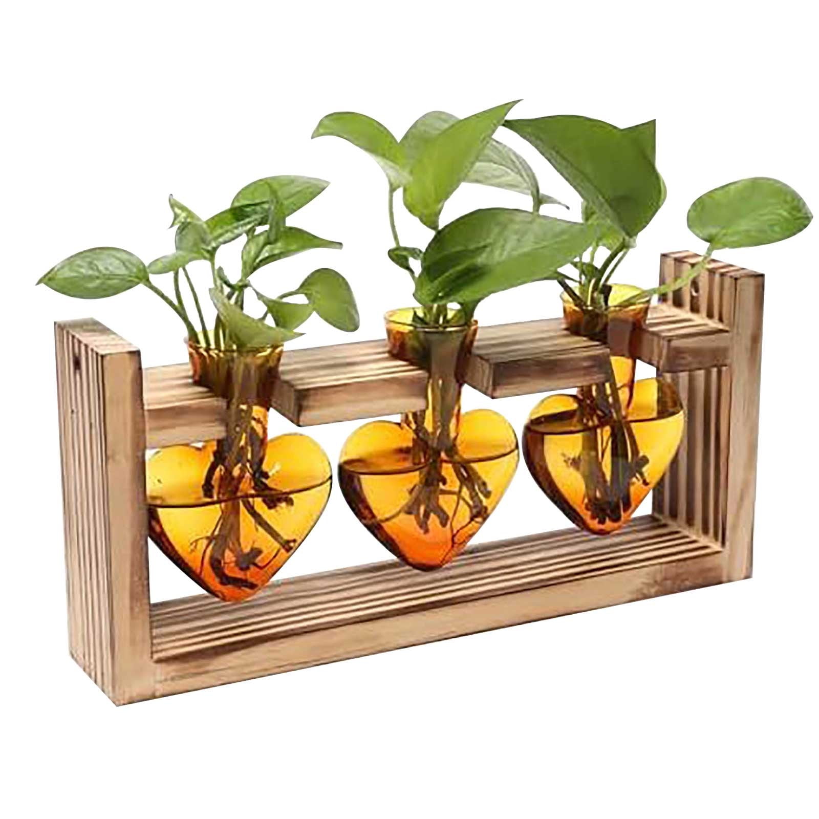 Bulb Glass Vases for Flowers Set of 3, Forcing Hyacinth Bulbs, Small ...