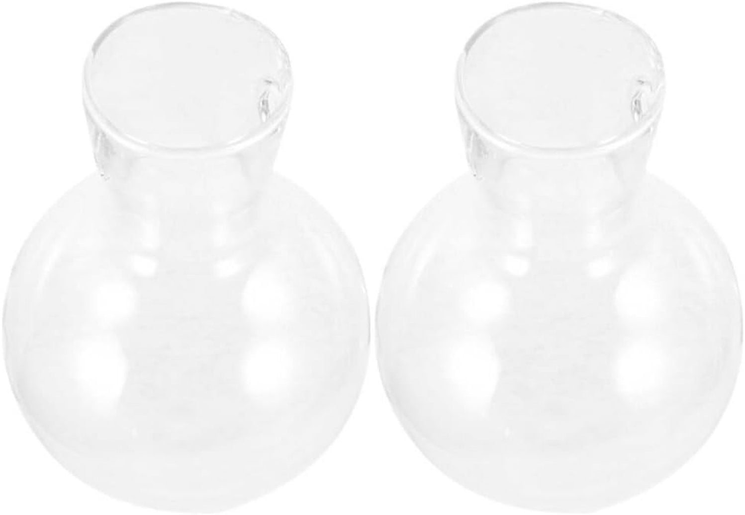 Bulb Shaped Flower Vase, 2pcs Clear Glass Vase Hydroponic Vase Plant ...