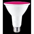 Bulbrite 861910 15W PAR38 Shape Flood Wet Dimmable LED Bulb, Pink ...