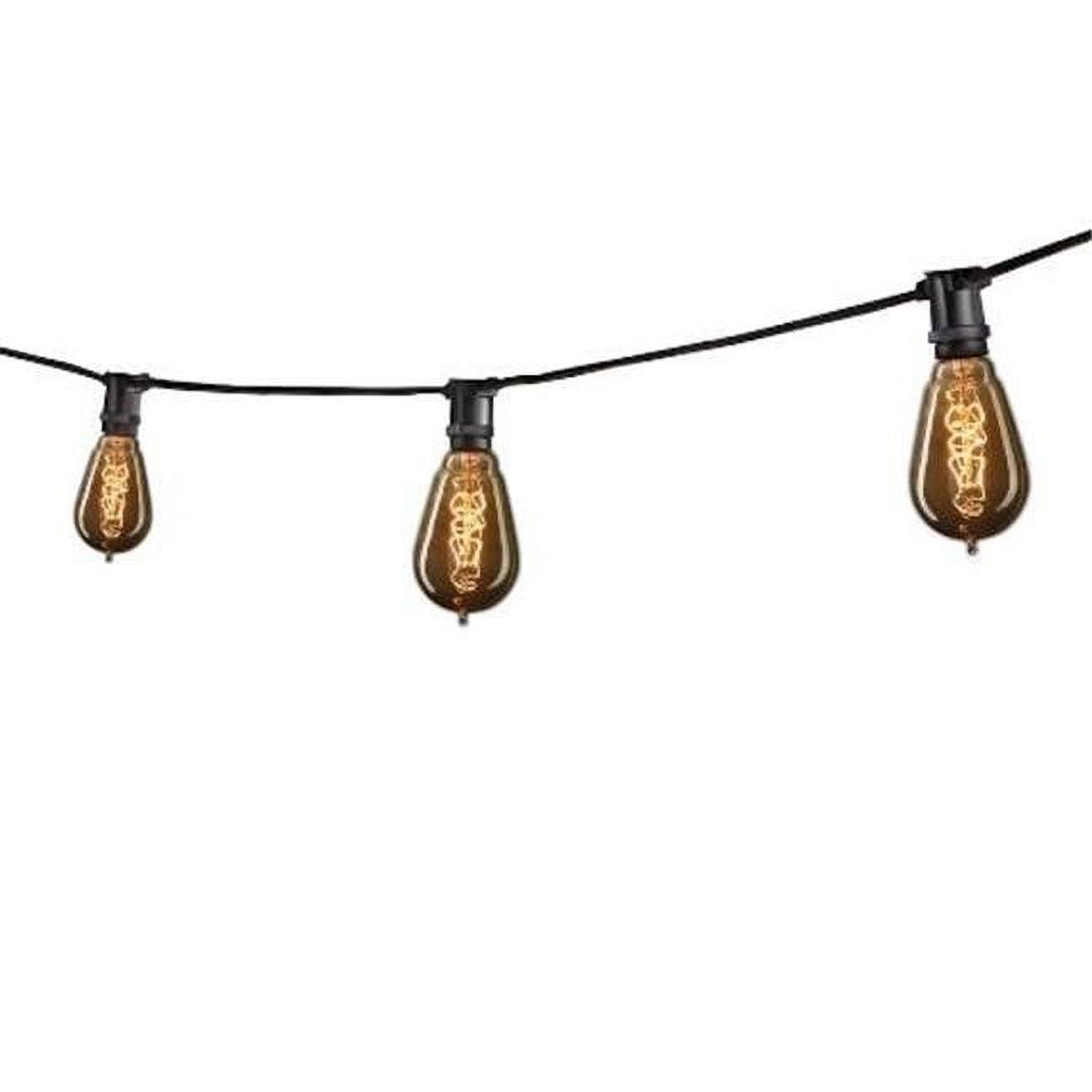 Bulbrite Incandescent Black Outdoor Filament String Light, Warm White ...