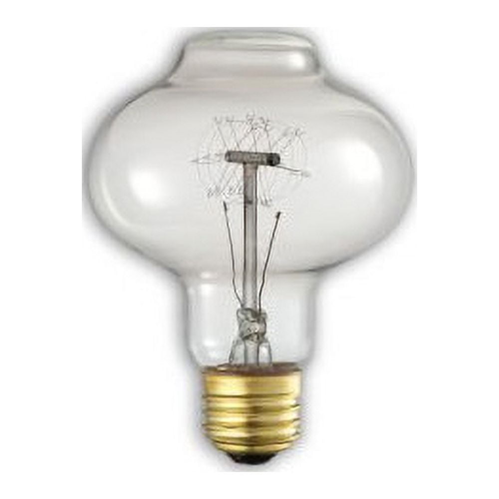 Bulbrite Industries 40W E26 Medium Base Incandescent Light Bulb ...