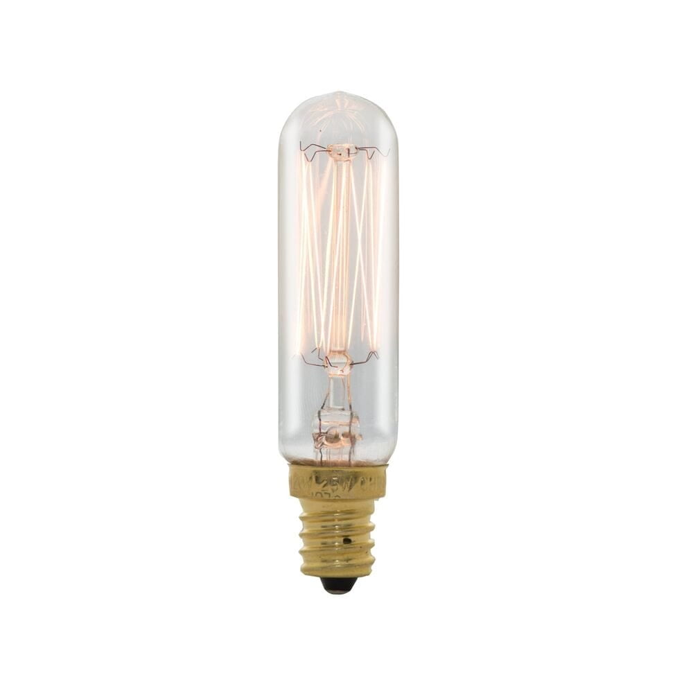 Bulbrite Multi Pack of Dimmable Clear Appliance, Amusement Candelabra ...