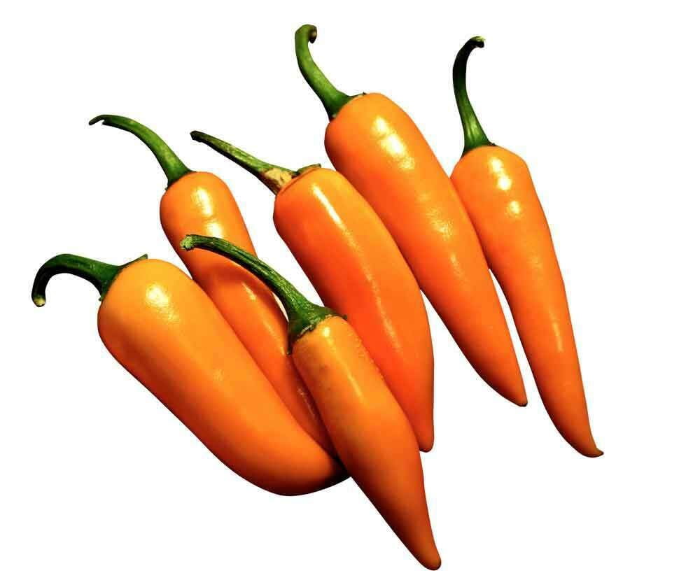 Bulgarian Carrot Pepper 30 Seeds - Capsicum Annuum, Hot Pepper Seeds ...