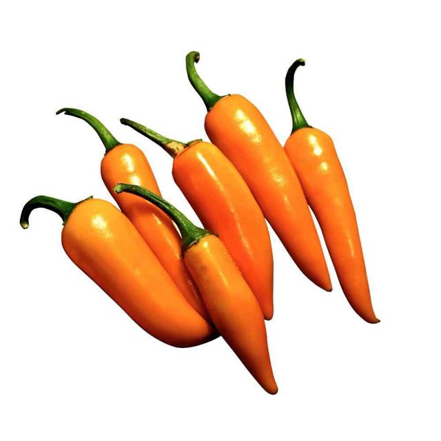 Bulgarian Carrot Pepper 30 Seeds - Capsicum Annuum, Hot Pepper Seeds ...