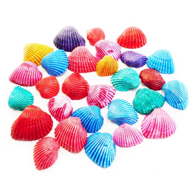 Bulk 1 Lb (400+) Tiny Dyed Ark Shells Mini Seashells (1/2-3/4") Beach ...