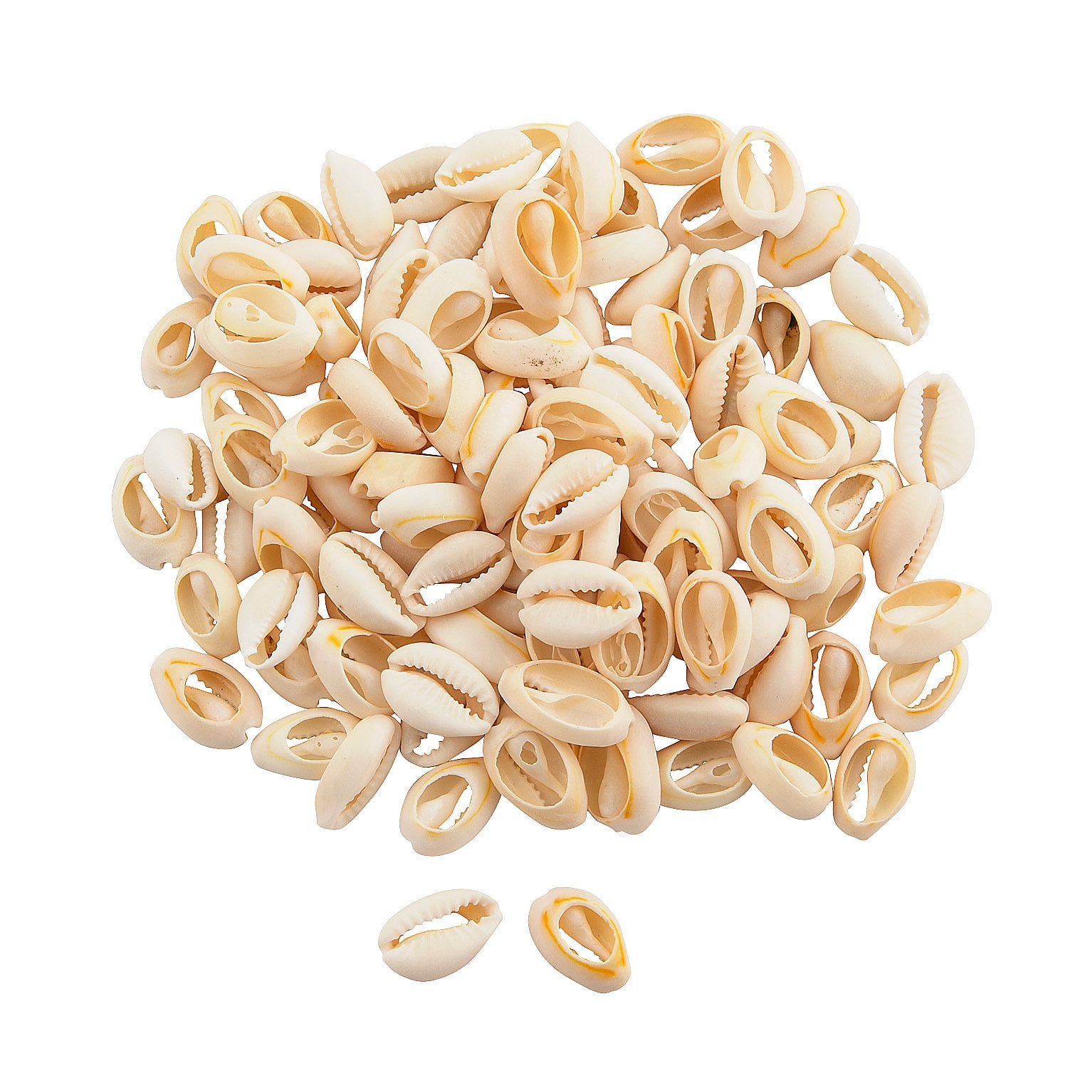 Bulk 120 Pc. Cowrie Shells - Walmart.com