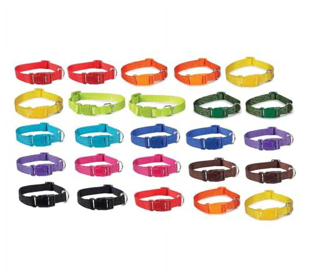 Bulk Adjustable Dog Collars Assorted Colors Vet Rescue Shelter and ...