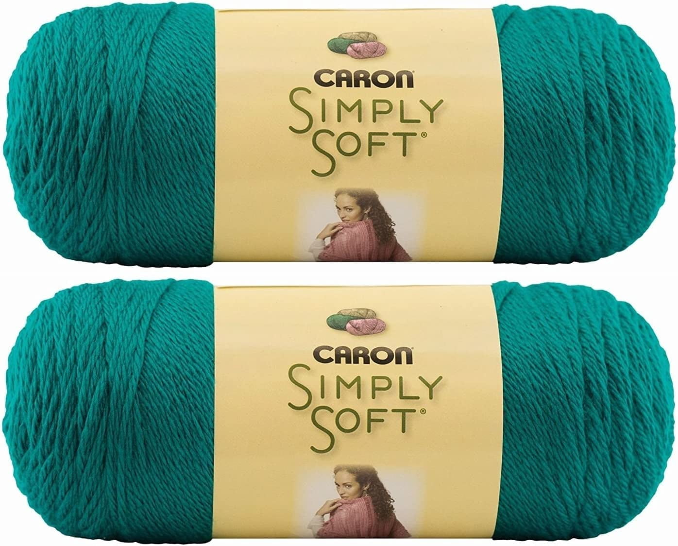 Bulk Buy: Caron Simply Soft Yarn Solids (2-Pack) (Cool Green ...