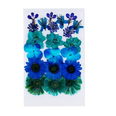 Hampton Art Action Wobbles Standard 48 Pieces, Action Wobbler, Wobble ...