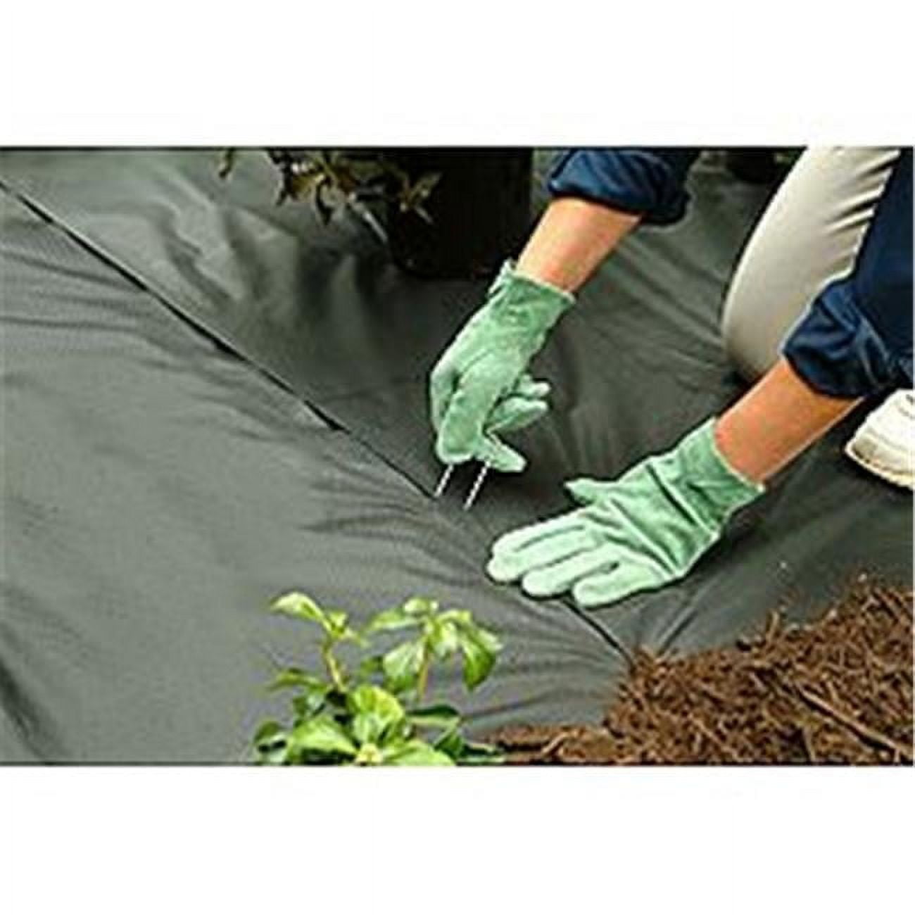 Bulk Ground Staple Bulk Box Of 1000 Staples - Walmart.com