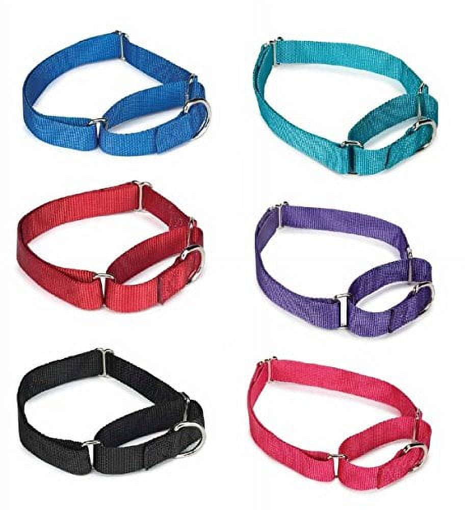 Bulk Lot Martingale Dog Collars at Wholesale Prices Nylon Collar Multi Packs(Assorted - 10 to 16 ...