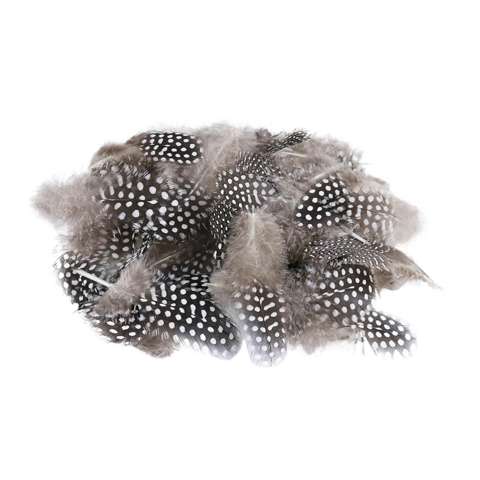 Bulk Natural Feathers 50PCS - Assorted Guinea Fowl, Pheasant & Turkey ...