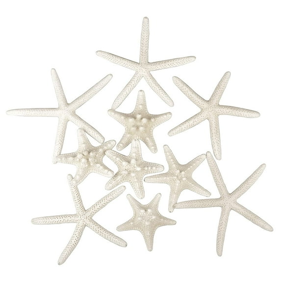 Bulk Natural Starfish, 12 PCS 2-6 Inch Assorted Starfish Shells for DIY ...