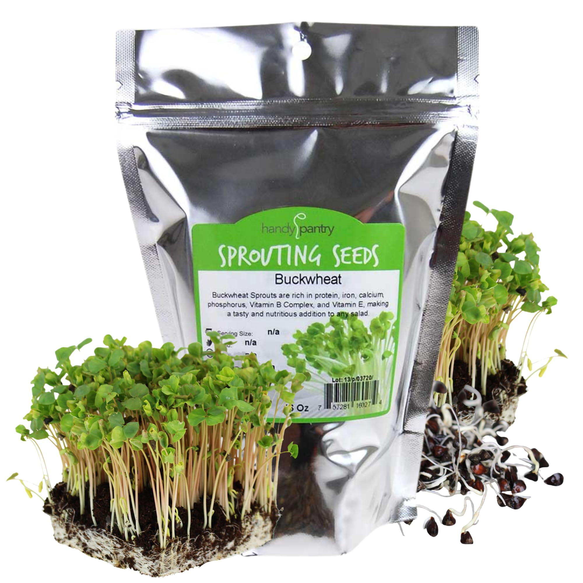 Bulk Organic Buckwheat Sprouting & Microgreens MVR1 Seeds - 1 LB ...
