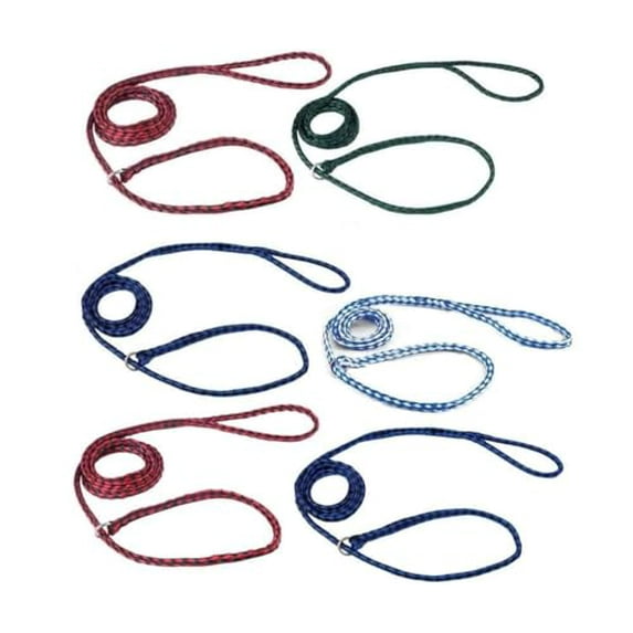 Bulk Pack Strong Dog Control Slip Lead Leashes Assorted Color Vet ...