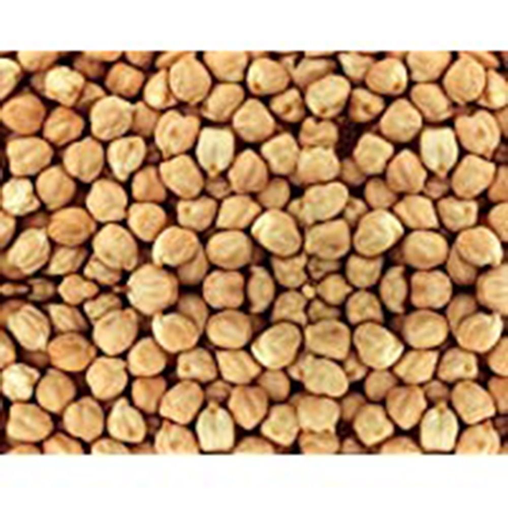 Bulk Peas And Beans Beans Garbanzo - Single Bulk Item - 25LB - Walmart.com