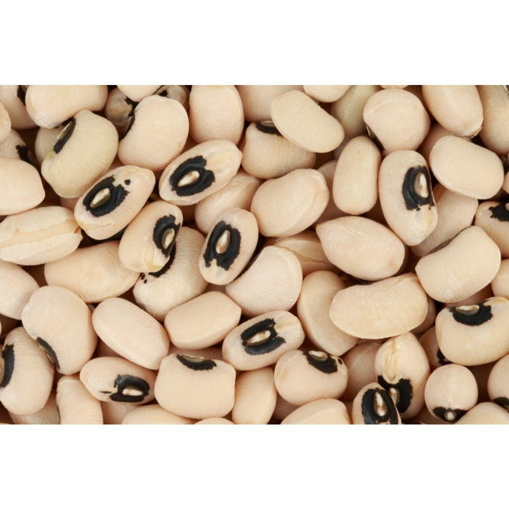 Bulk Peas and Beans Organic Blackeyed Peas - Single Bulk Item - 25LB ...