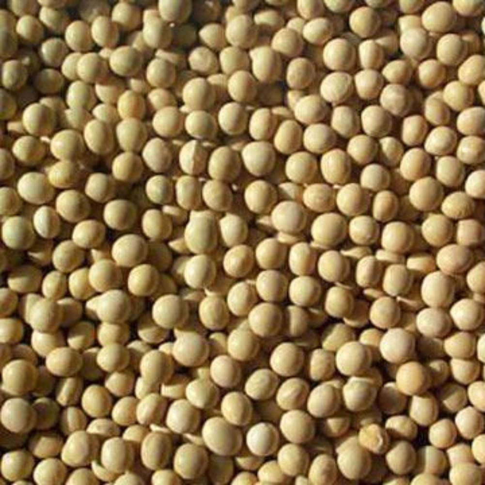 Bulk Peas and Beans Organic Soy Bean - Single Bulk Item - 25LB ...