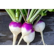 Whitetail Deer Food Plot Seed | Turnip Radish Clover Wheat Rye Oats Mix ...