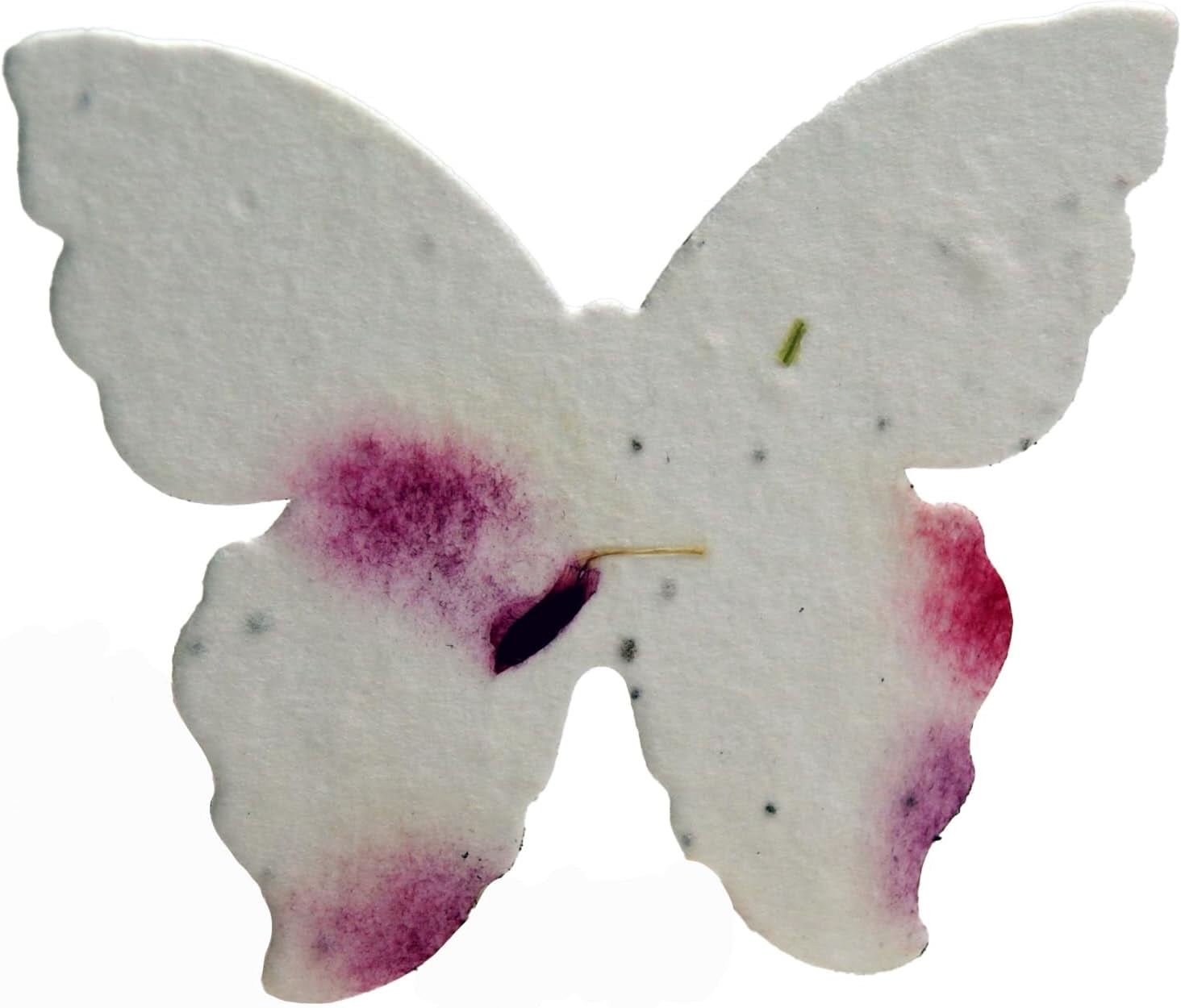 Bulk Seed Paper Butterfly Set of 100 with Recycled fibers and Petals 3 ...