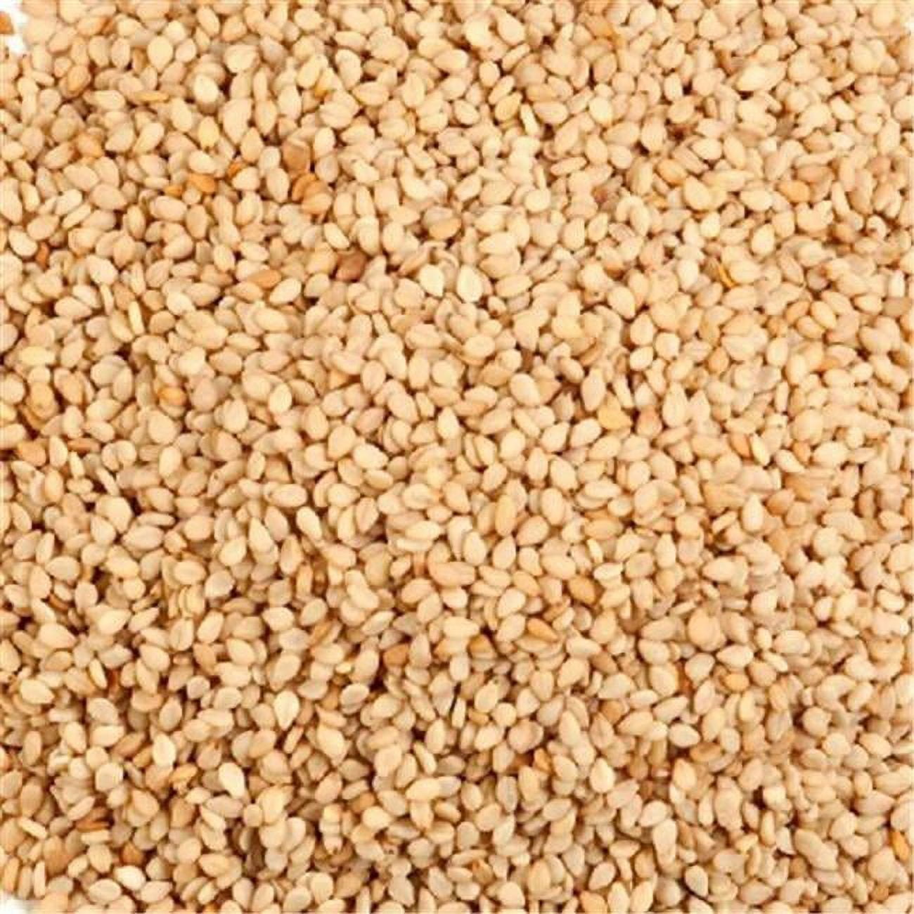Bulk Seeds Organic Natural Sesame Raw, 25 Count - Walmart.com
