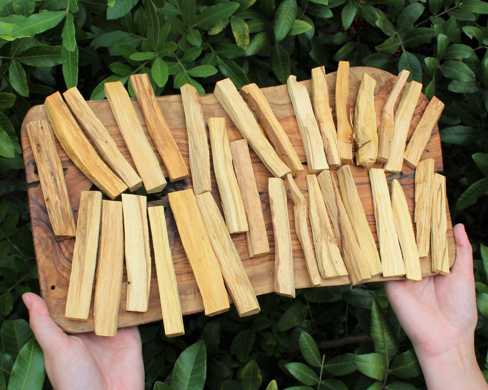 bulk-wholesale-palo-santo-wood-sticks-choose-amount-oz-or-lb-smudging