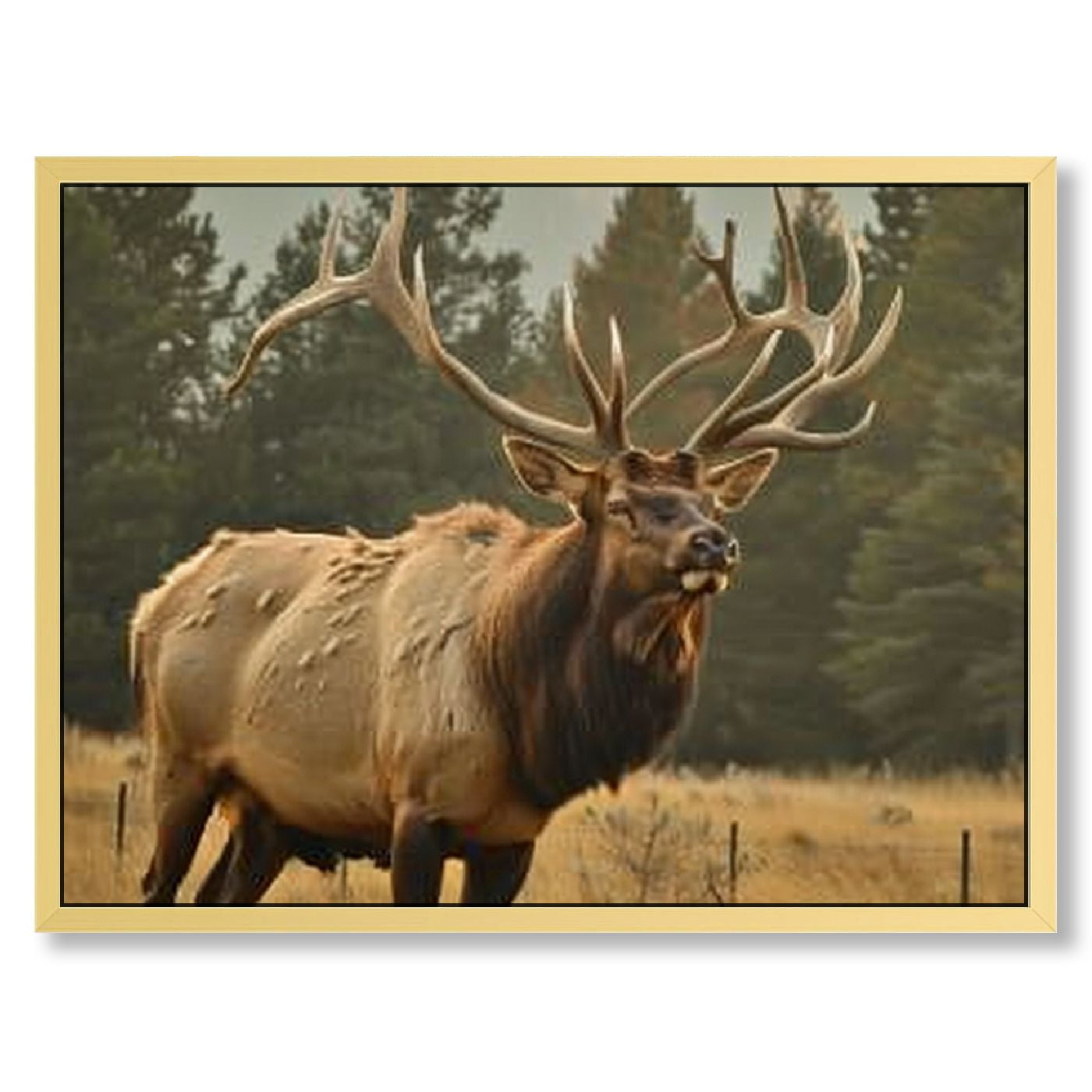 Bull Big Antler Rack Animal Wildlife Cabin Canvas Poster Modern Wall ...