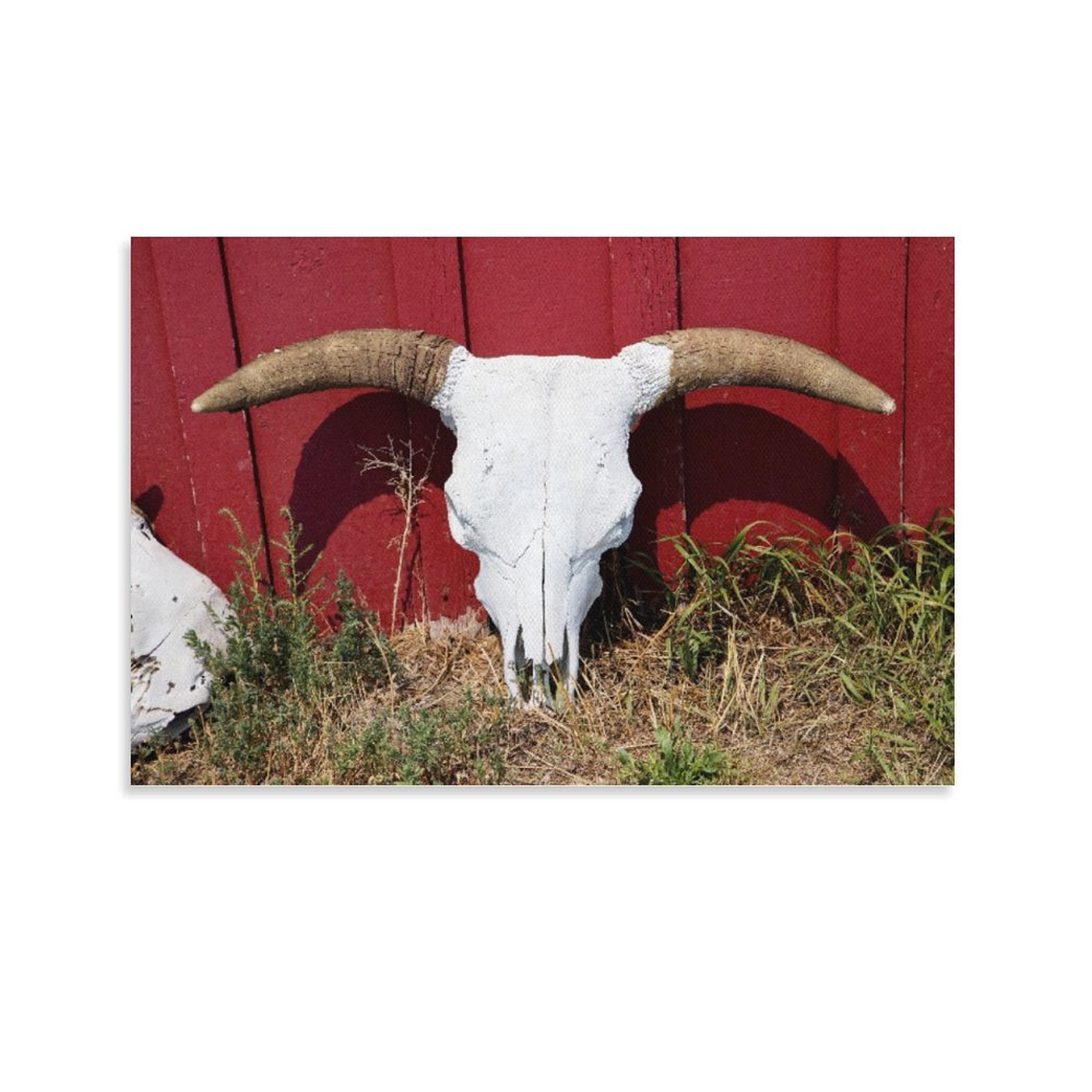 Bull Bull Skull Horns Cow Beef Canvas Art Poster And Wall Art Picture ...