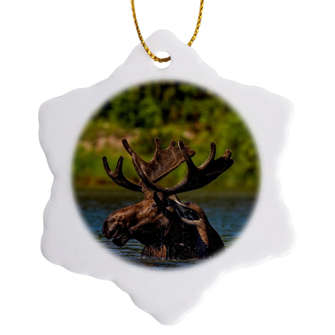 Bull Moose In Glacier National Park, Montana, 3 inch Snowflake ...