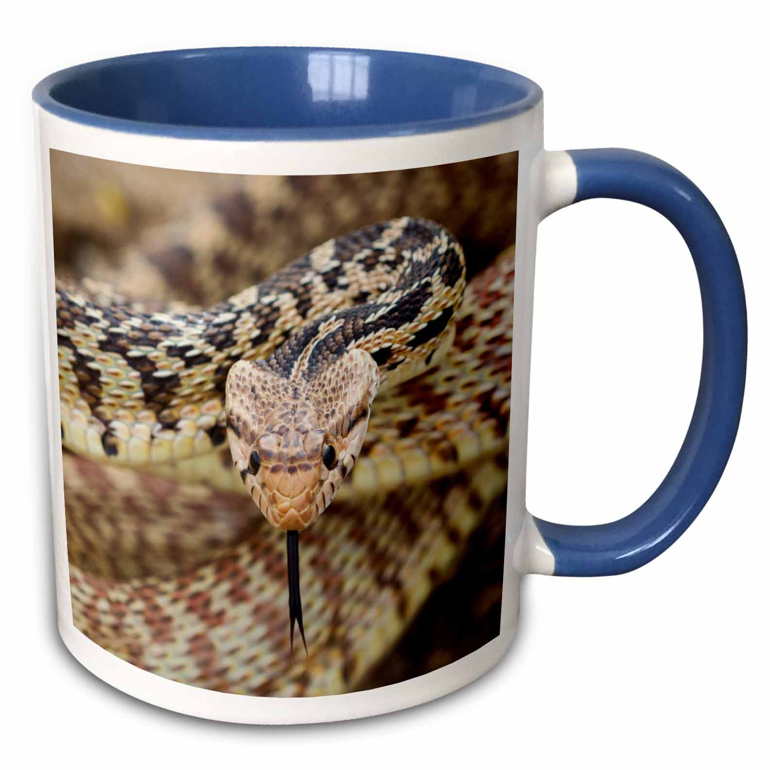 3drose, Bull Snake, Non Venomous, 15oz Two-tone Blue Mug - Walmart.com