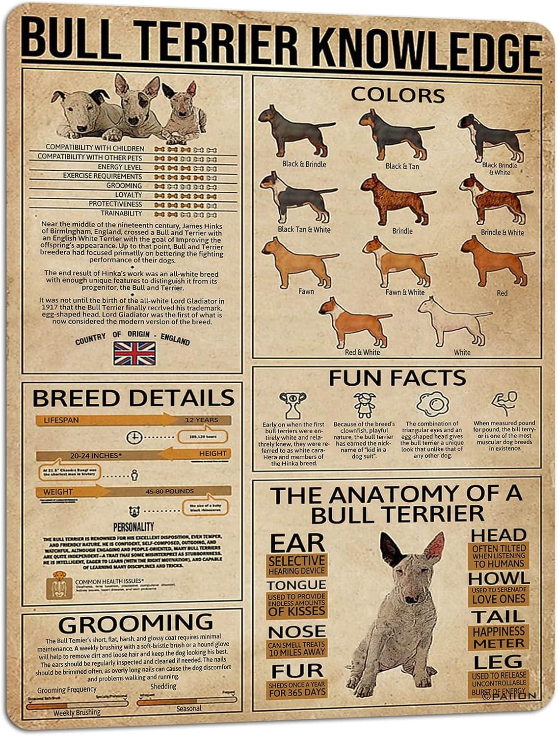 Bull Terrier Dog Knowledge Metal Tin Signs Anatomy Color Breed Poster ...